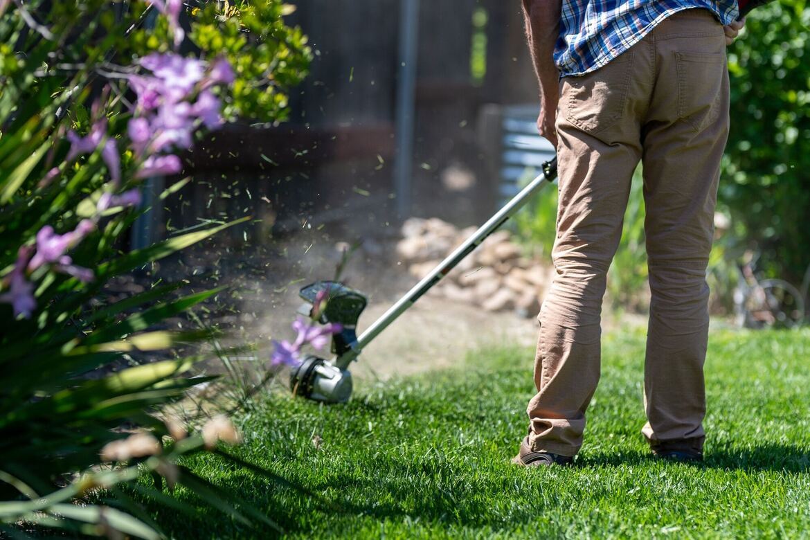 Landscape Maintenance Tips for Your Yard